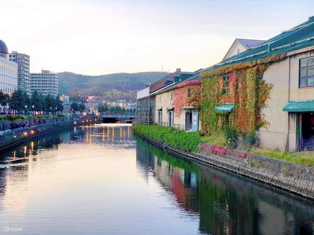 [Cherry Blossom Limited] Romantic Cherry Blossom Tour in Otaru ...